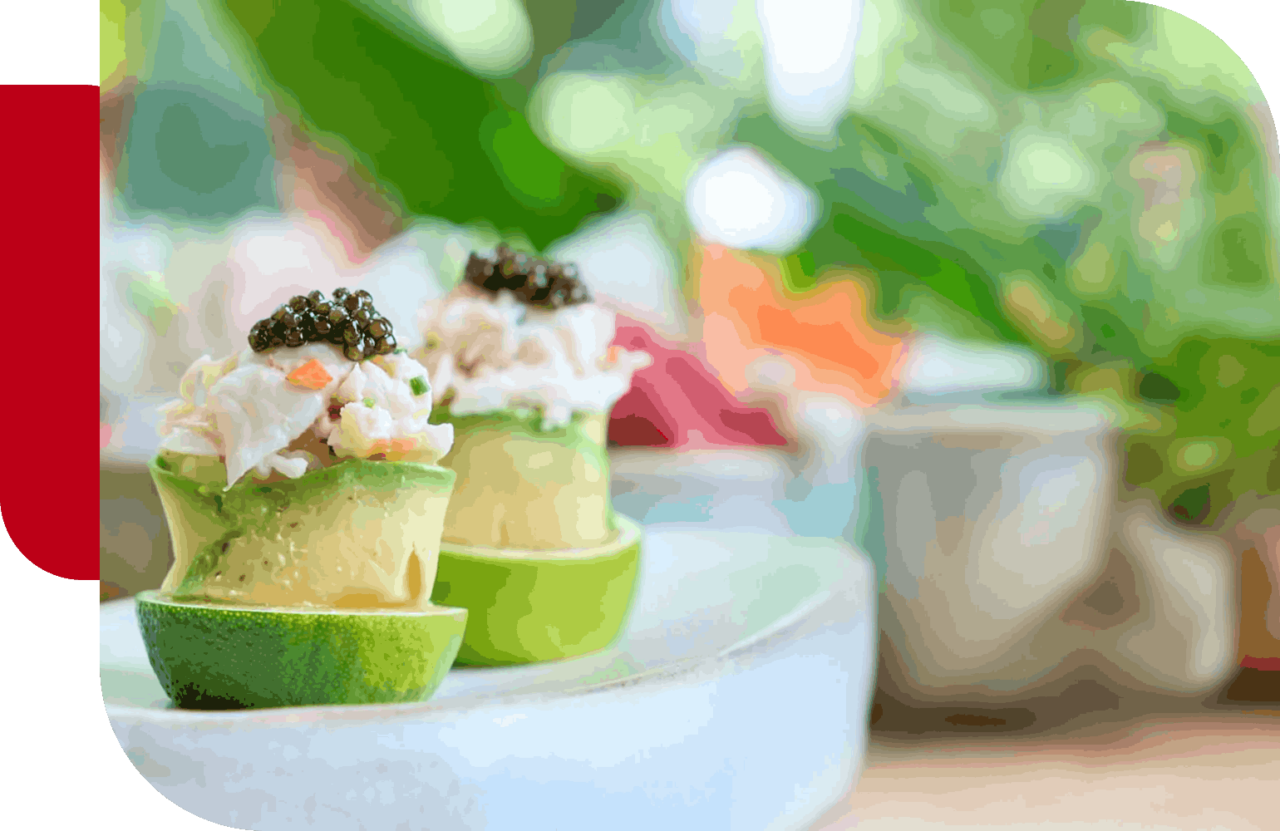 Ikibana Menu | Japanese restaurants in Barcelona